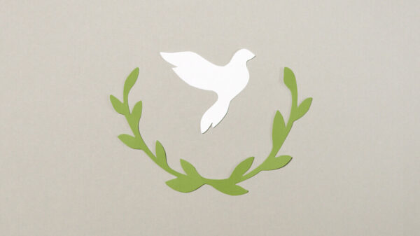 Six Prime Principles for Resolving Conflict and Promoting World Peace ...
